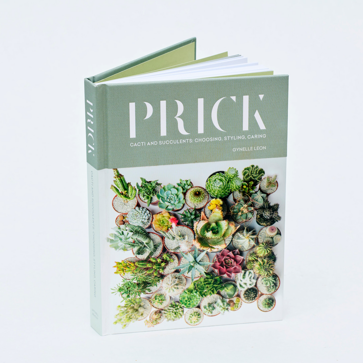 Prick: Cacti and Succulents – Petersham Nurseries