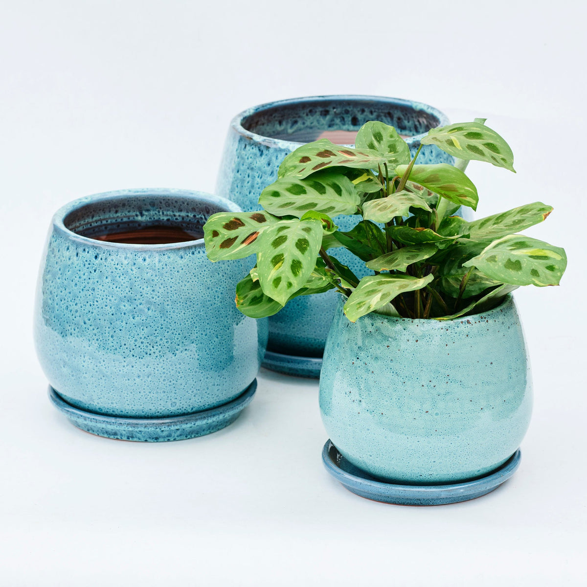 Sanne Glazed Pots - Light Blue - Various Sizes Available – Petersham Nurseries