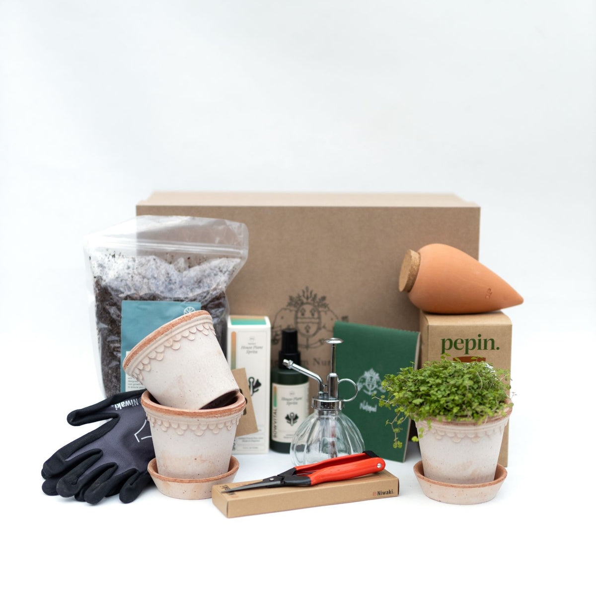 The Petersham Nurseries Houseplant Hamper