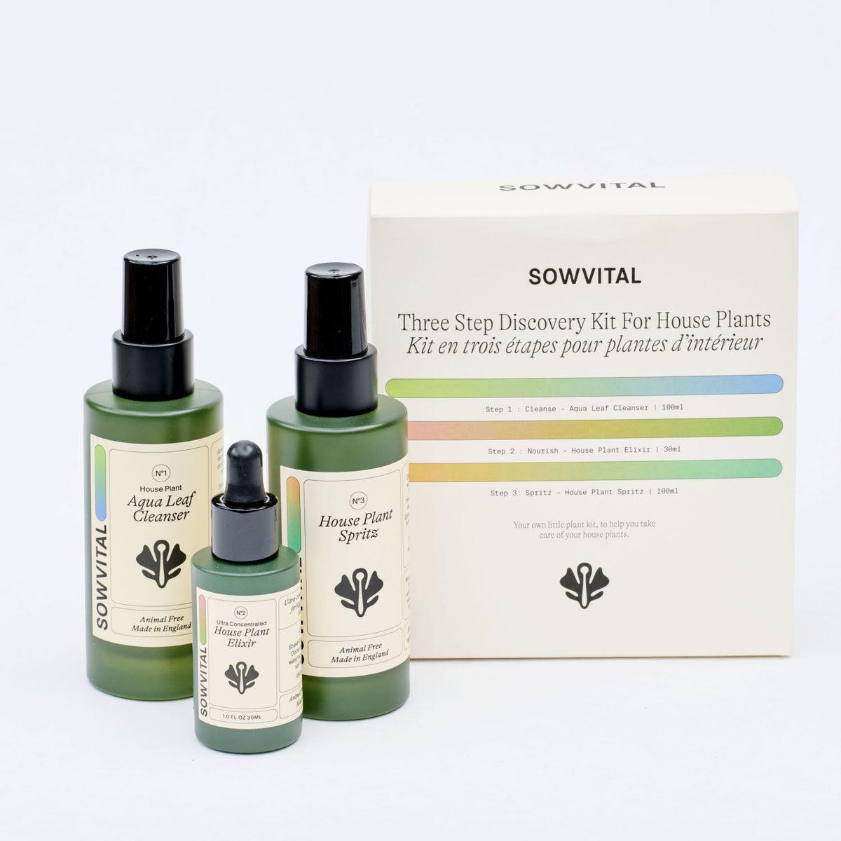 Three Step Discovery Kit for House Plants – Petersham Nurseries